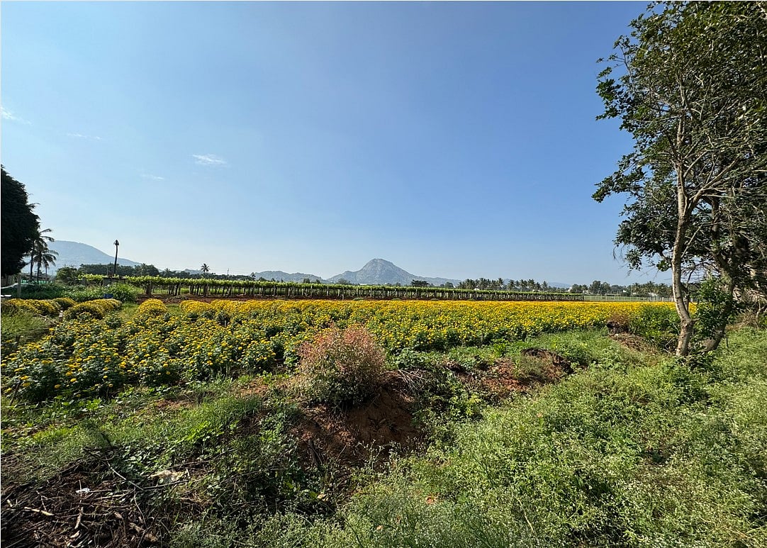 Apple iPhone 15 Pro Max review: Top-notch performer