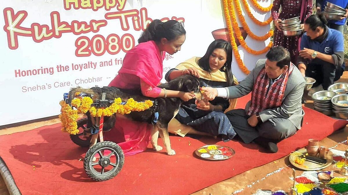 Nepal celebrates Diwali worshiping crow, dog besides Goddess Laxmi