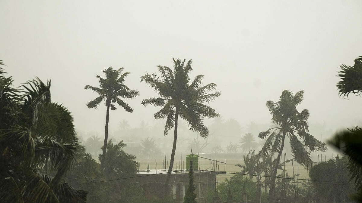 Severe cyclonic storm to cross between Puri and Sagar island: IMD