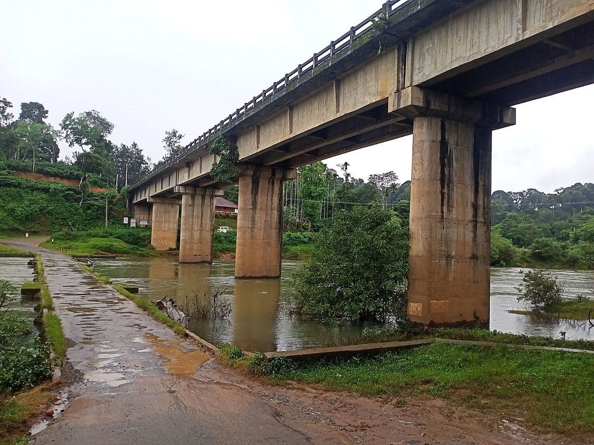 Agricultural activities catch pace in rural areas of Kodagu