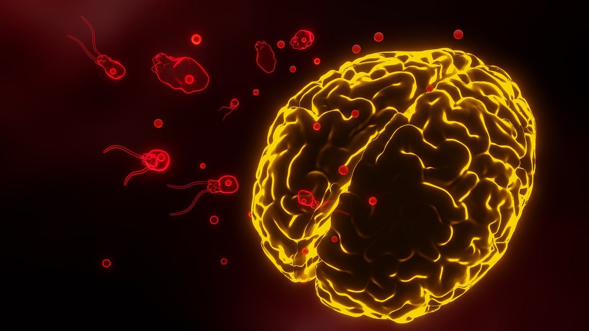 Another death from amoebic brain fever in Kerala, 3 fresh cases reported in Thiruvananthapuram