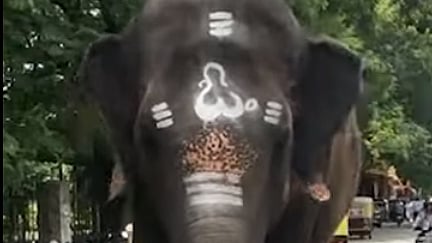 Hyderabad Muharram news: Amid concerns, Rupavathi participates in ...