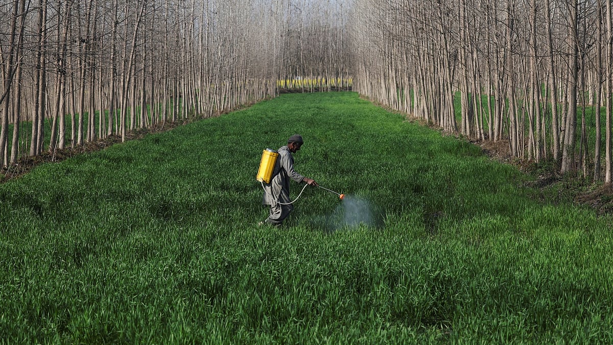 Exposure to certain pesticides as bad as smoking, increases cancer risk ...