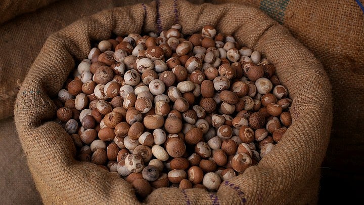 Coast Guard Seizes Betel Nuts Worth Rs 1 Crore from Fishing Boat in Bay ...