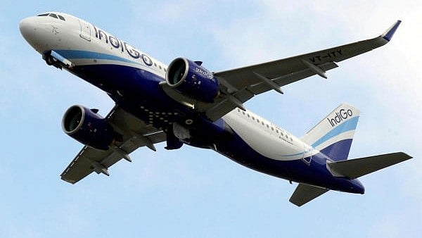 'My mother was robbed in IndiGo flight, crew refused to help,' claims ...