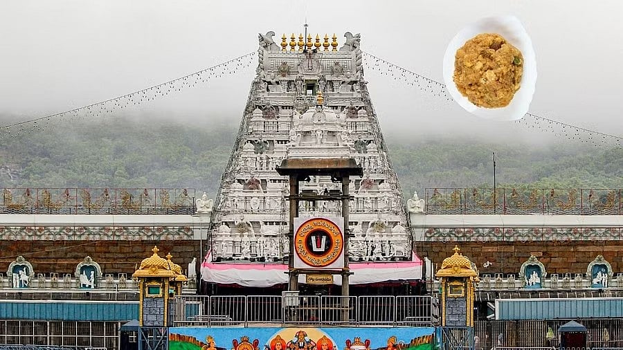 Tirupati Laddu row: AR Dairy booked for supplying adulterated ghee