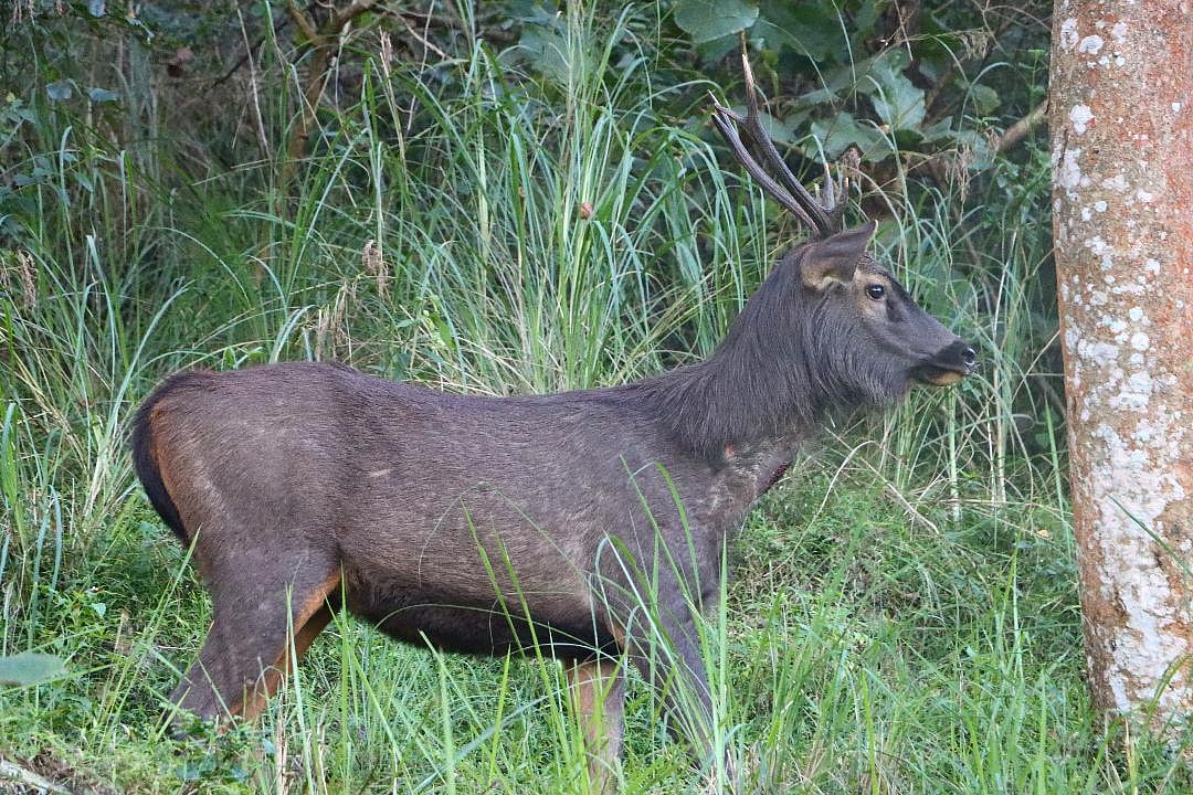 Journeying into the jungle: New experiences galore