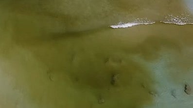 Thai island beach full of 'poop', travel influencer says highlighting ...