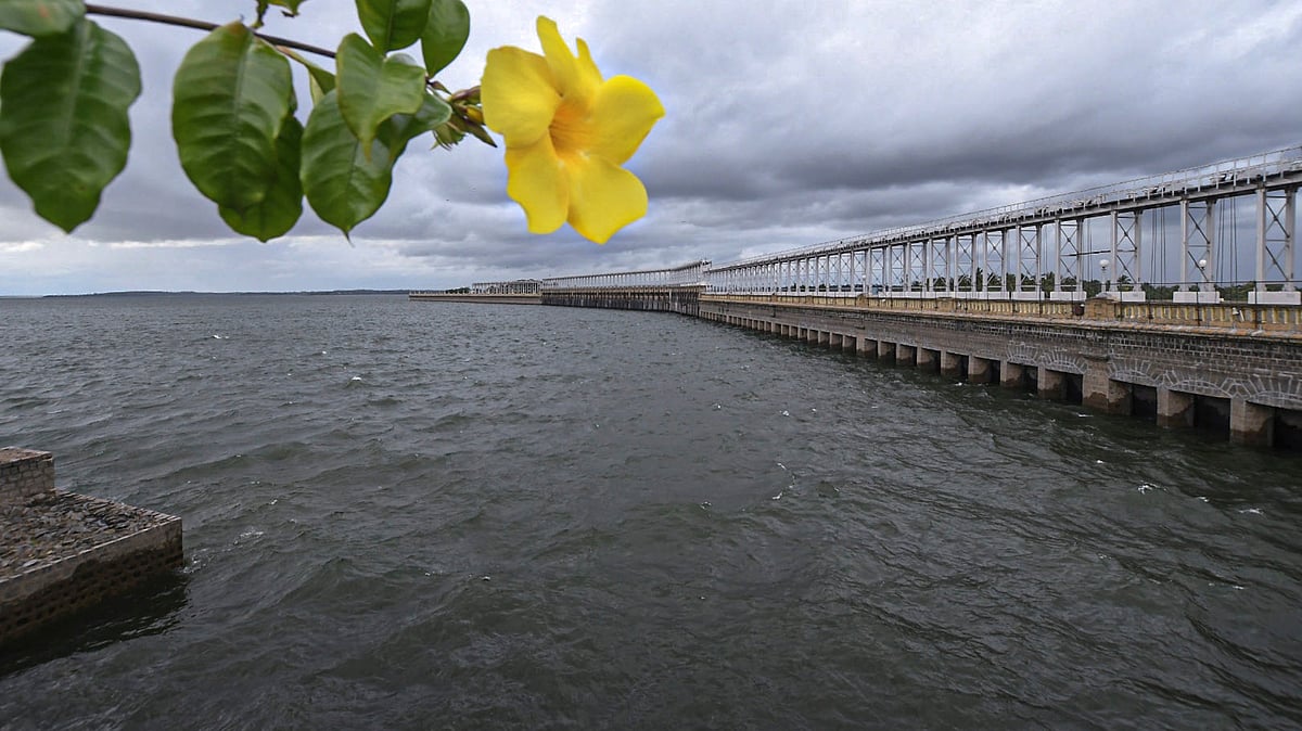 KRS dam water level: Full for record 172 days, water level at Krishna ...