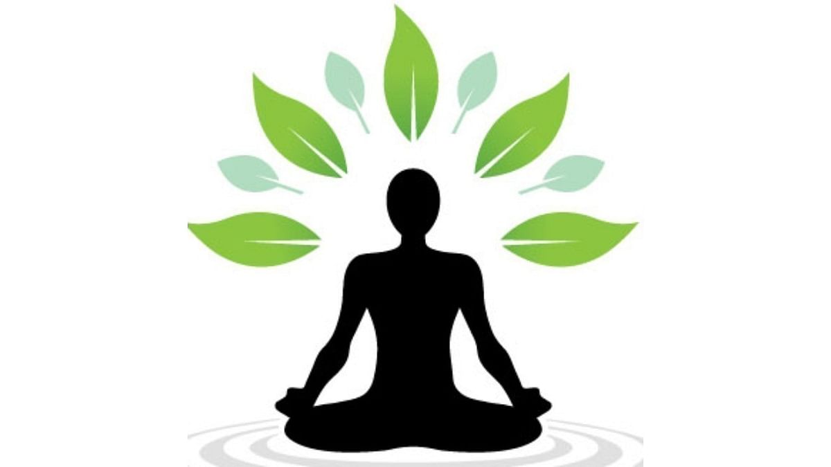 A seeker’s quest for self-discovery A seeker’s quest for self-discovery