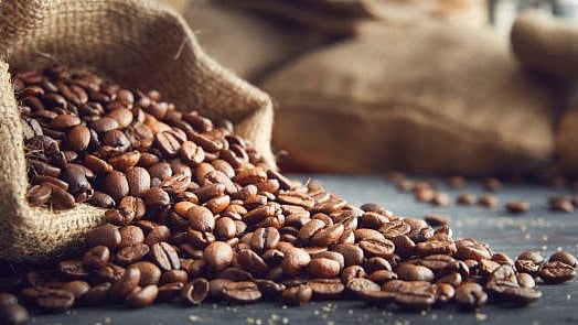 Board to study feasibility of promoting coffee cultivation in Karnataka ...