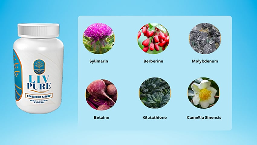 Liv Pure Reviews: Is It Safe And Legit For Burning Stubborn Belly Fat ...