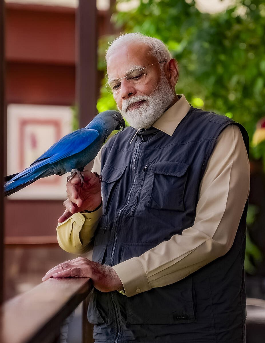 Anant Ambani Vantara: PM Modi inaugurates Vantara | PM Modi in Vantara news