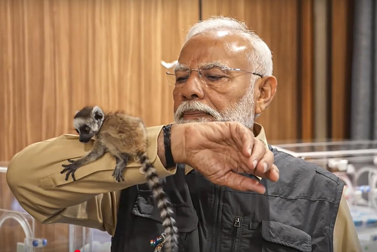 Anant Ambani Vantara: PM Modi inaugurates Vantara | PM Modi in Vantara news