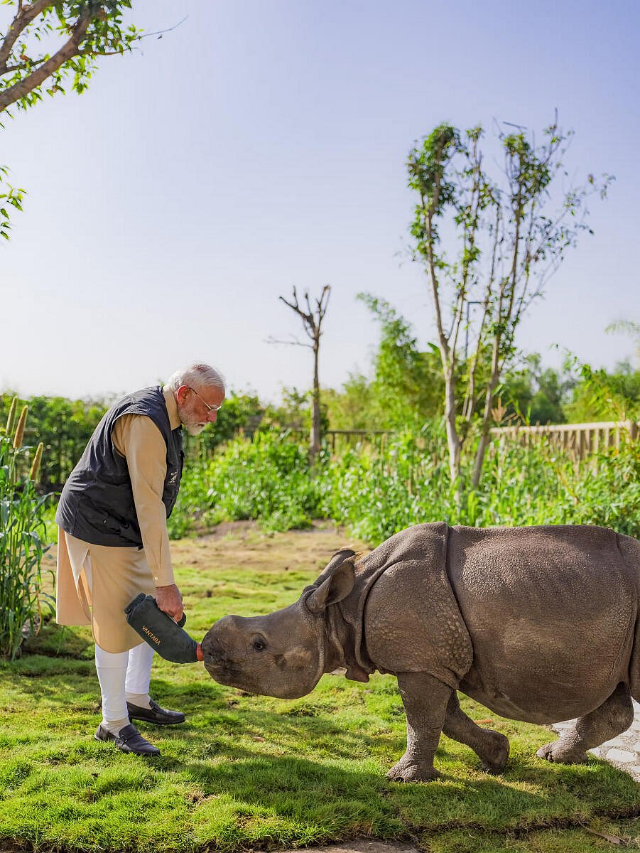 Anant Ambani Vantara: PM Modi inaugurates Vantara | PM Modi in Vantara news
