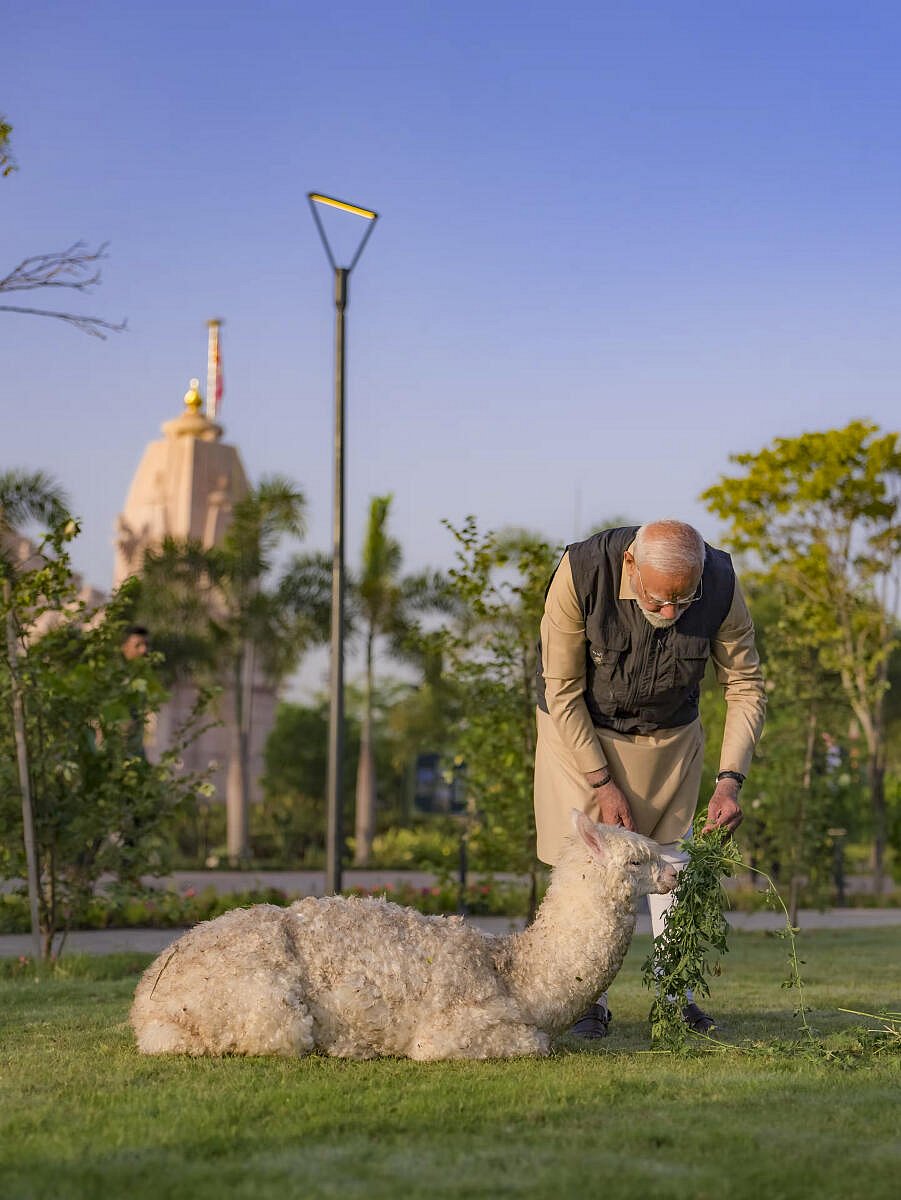 Anant Ambani Vantara: PM Modi inaugurates Vantara | PM Modi in Vantara news