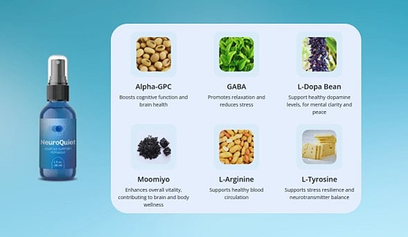 NeuroQuiet Reviews (Is It Safe And Legit to Consume?) Here's Our Honest ...