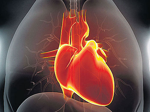 Heart shifted for transplant in 12 minutes