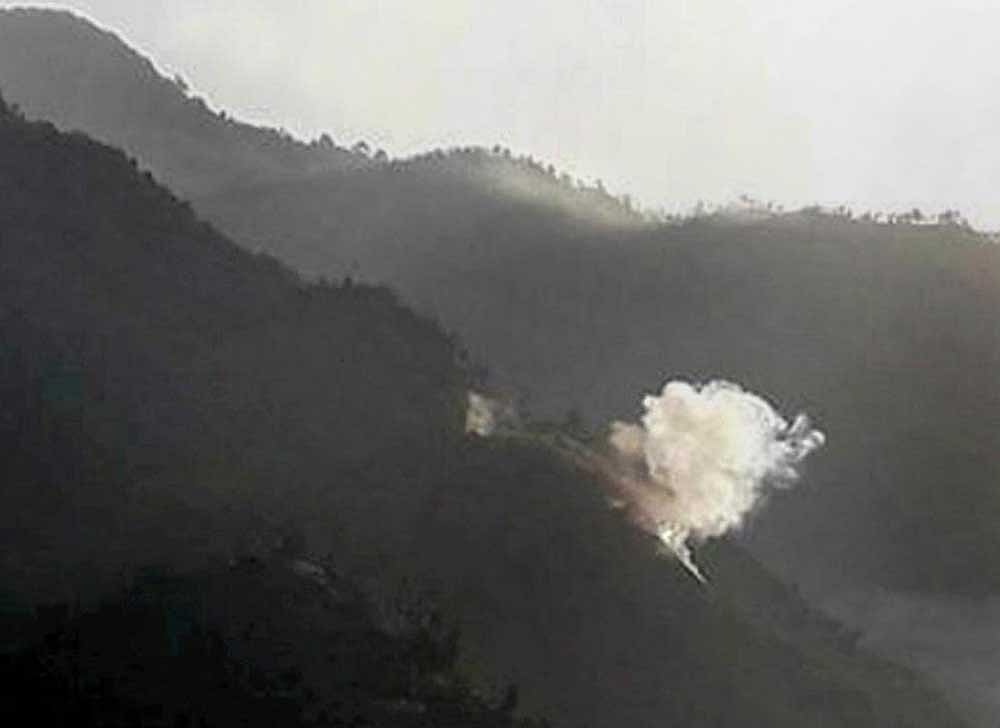 16 animals die in Pak shelling along in Rajouri, Poonch