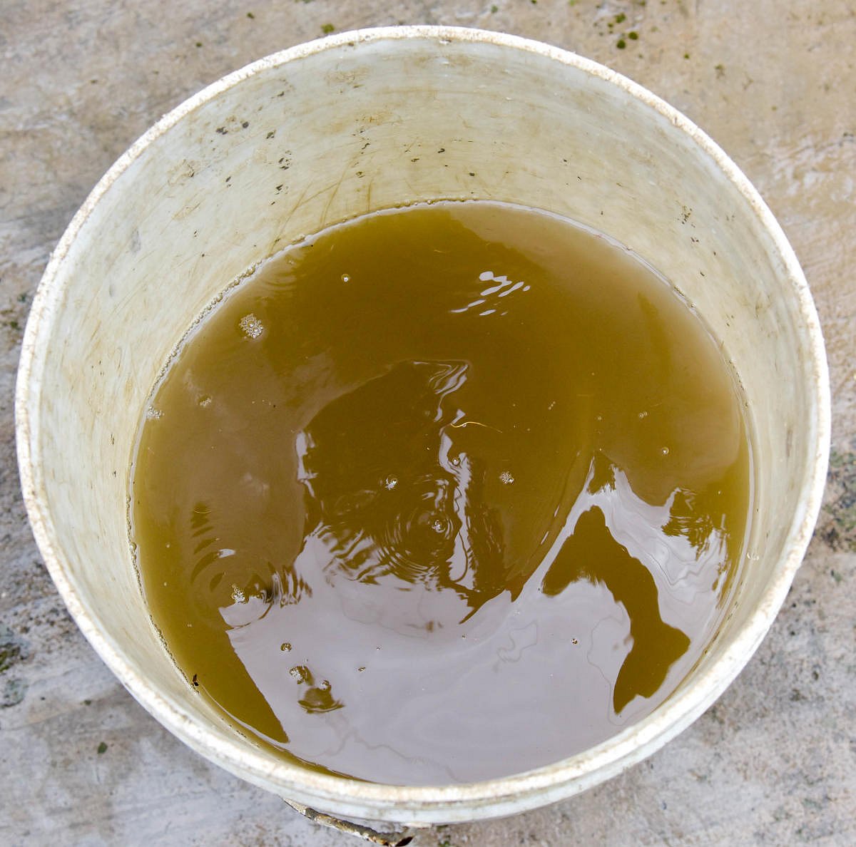 BWSSB supplies sewage water to HBR Layout