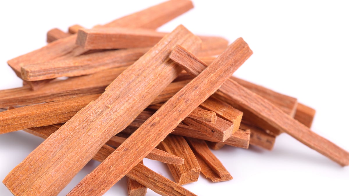 KSDL, forest dept to join hands for increasing sandalwood production