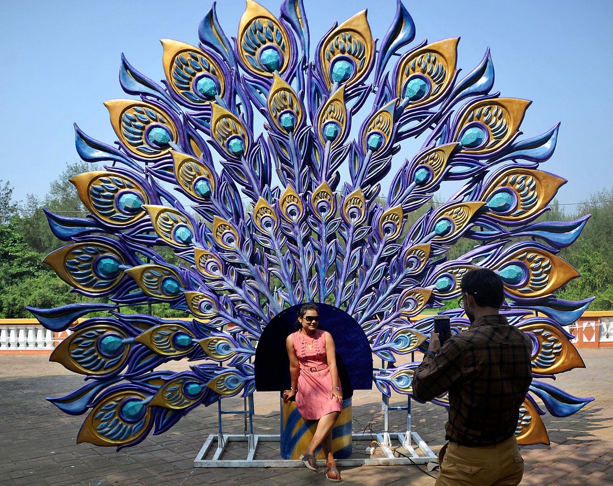 In visuals | Sights and sounds of IFFI 2019 in Goa