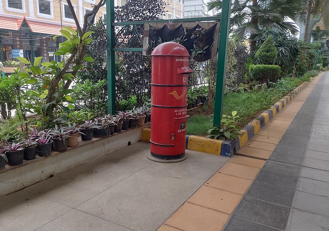 Motorola Moto G14 review: Decent budget phone with good looks