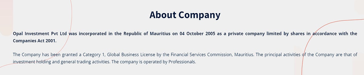 Owner of Adani Power's largest public investor a 'single-person company ...