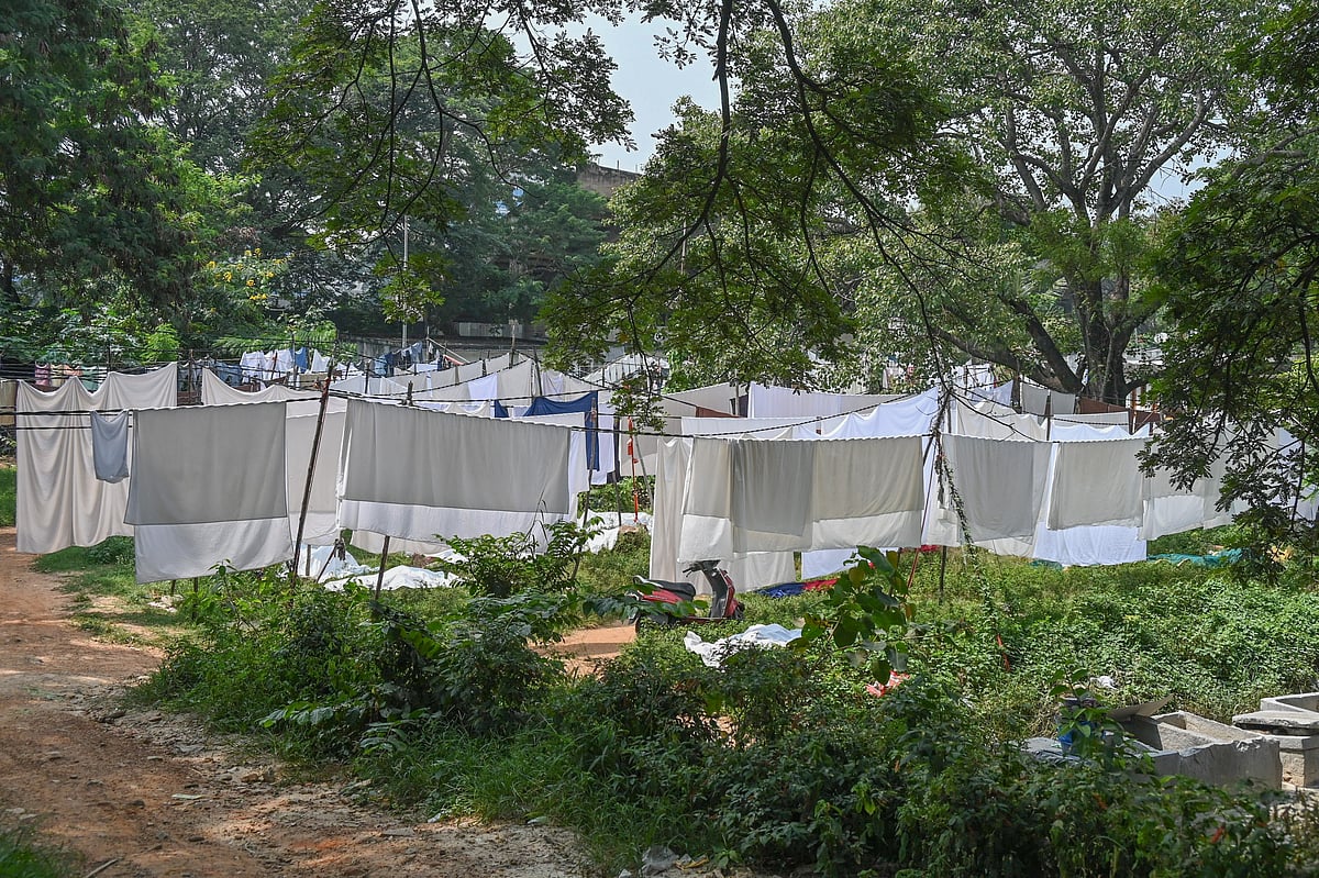 Soaked in water scarcity: Dhobi Ghats hung out to dry in Bengaluru