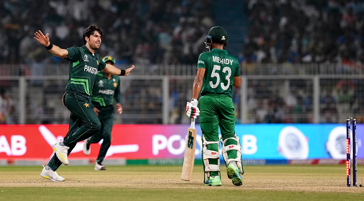 ICC World Cup: Pakistan bowl out Bangladesh for 204
