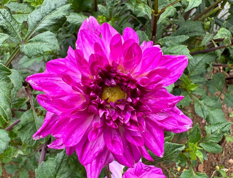 Apple iPhone 15 Pro Max review: Top-notch performer