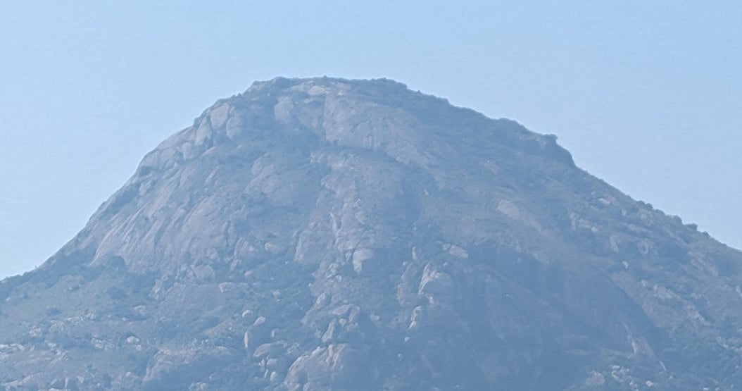 Google Pixel 8 review: Phone with extraordinary AI photography capabilities