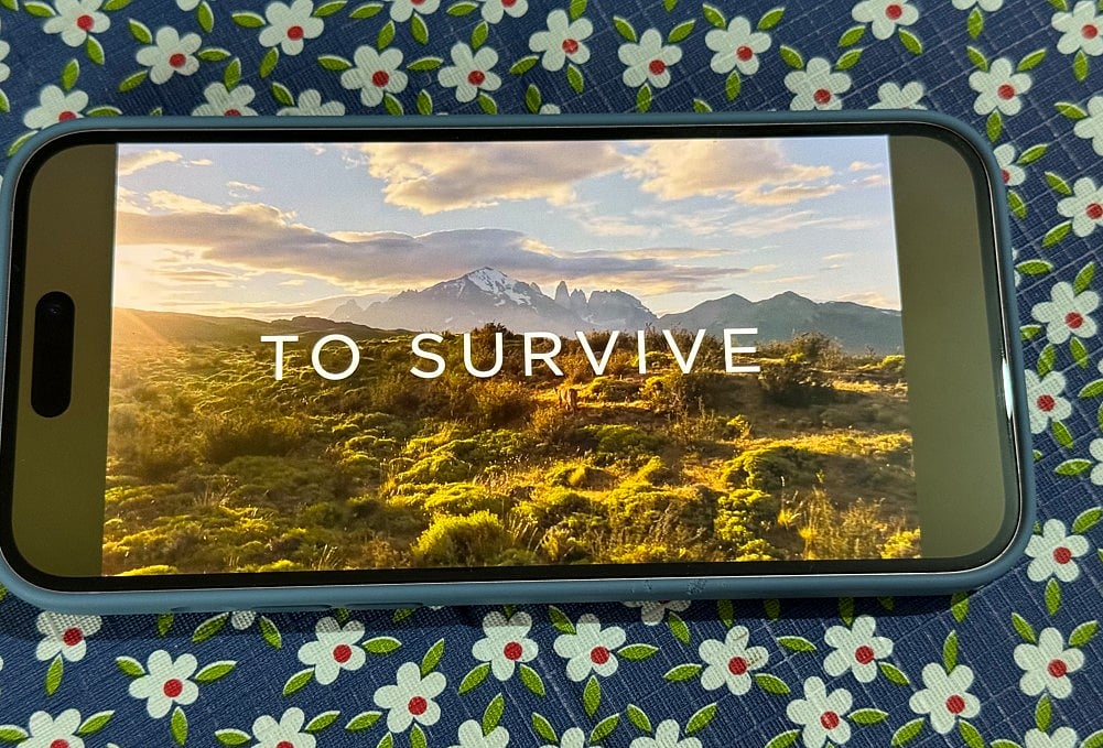 Apple iPhone 15 Plus review: Feature-rich premium phone