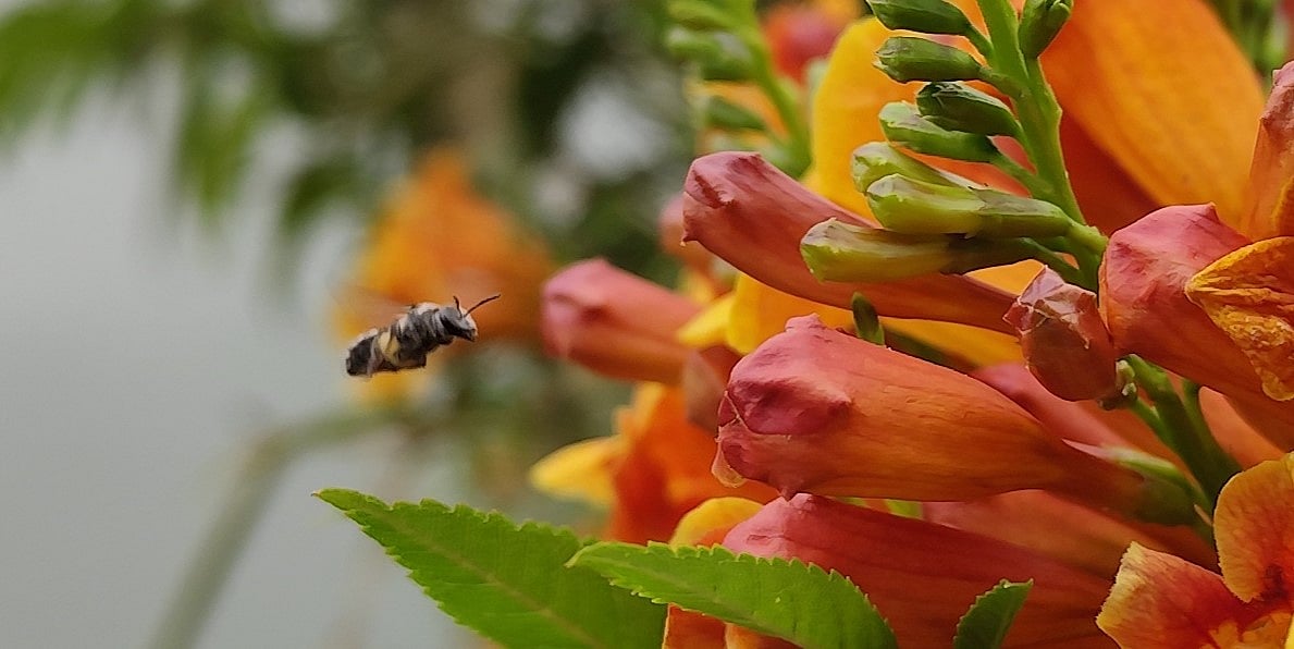 Redmi Note 13 Pro 5G review: Well-rounded mid-range phone