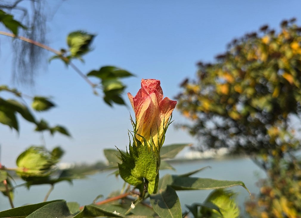 Samsung Galaxy S24 Ultra Review: Price in India, Specifications, AI ...