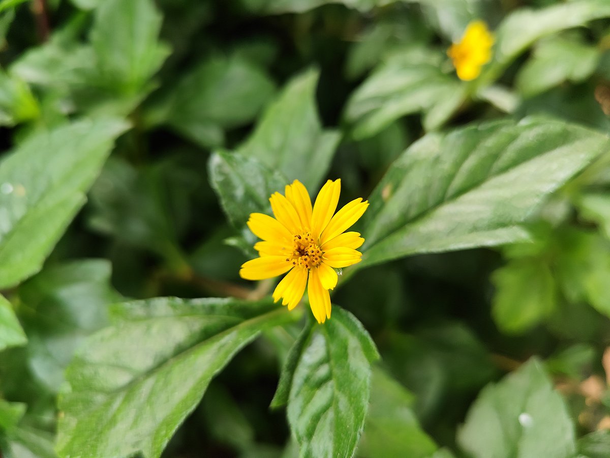 Redmi Note 13 Pro 5G review: Well-rounded mid-range phone