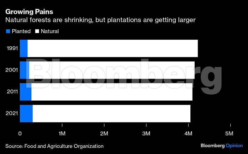 The world’s forests are doing much better than we think