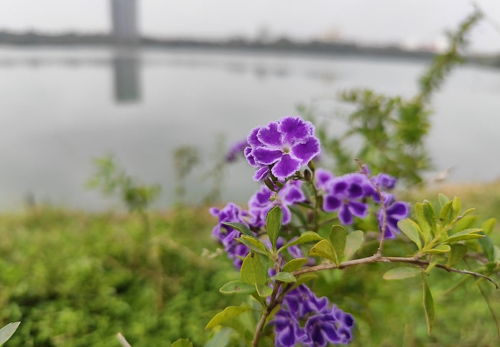 Redmi Note 13 Pro 5G review: Well-rounded mid-range phone