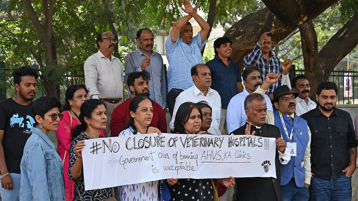 Strays, cattle worst hit by hospitals’ relocation