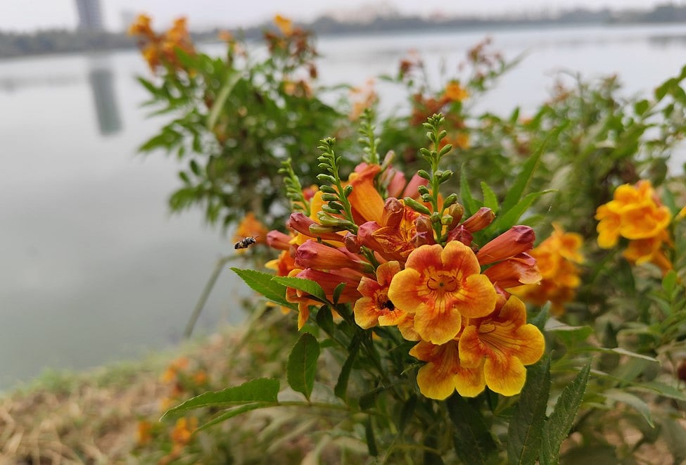 Redmi Note 13 Pro 5G review: Well-rounded mid-range phone