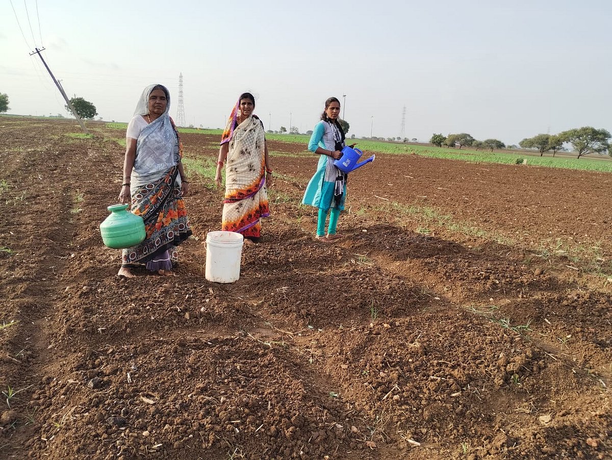 Seeds of change: The women who revived 77 ragi varieties