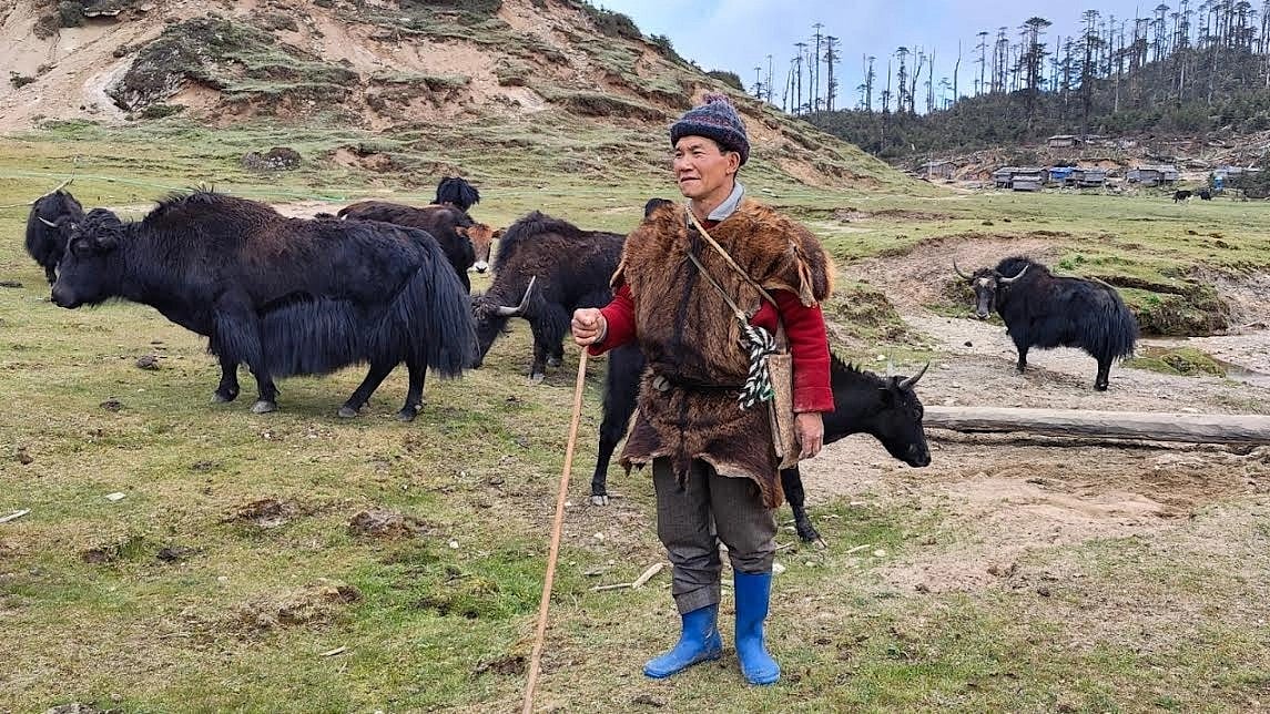 Country's first co-operative society for yak rearers formed in ...