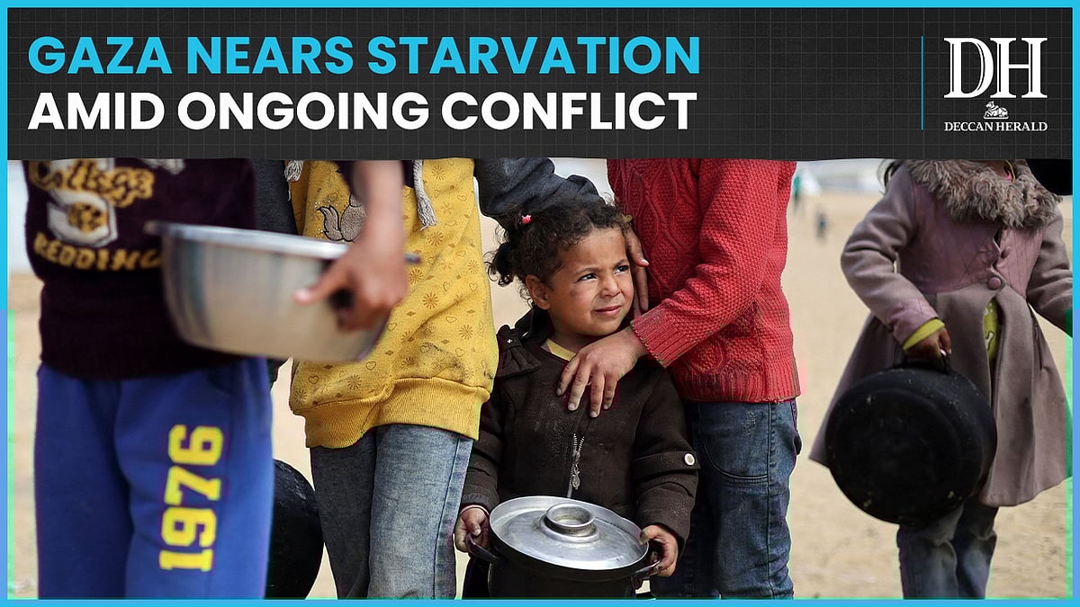 Gaza latest | One in four Gazans are one step away from famine: UN