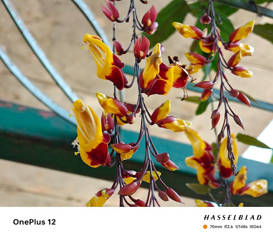 OnePlus 12 5G review: Incremental, but meaningful upgrade