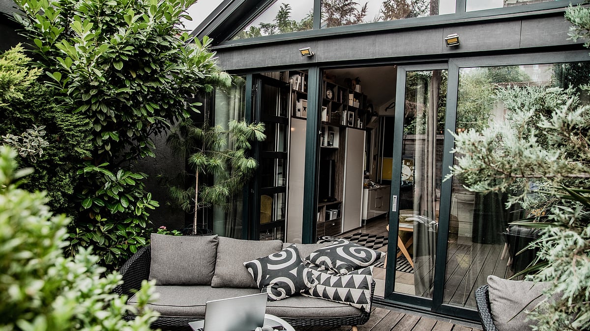 Now, a free guidebook on trees to grow in apartments