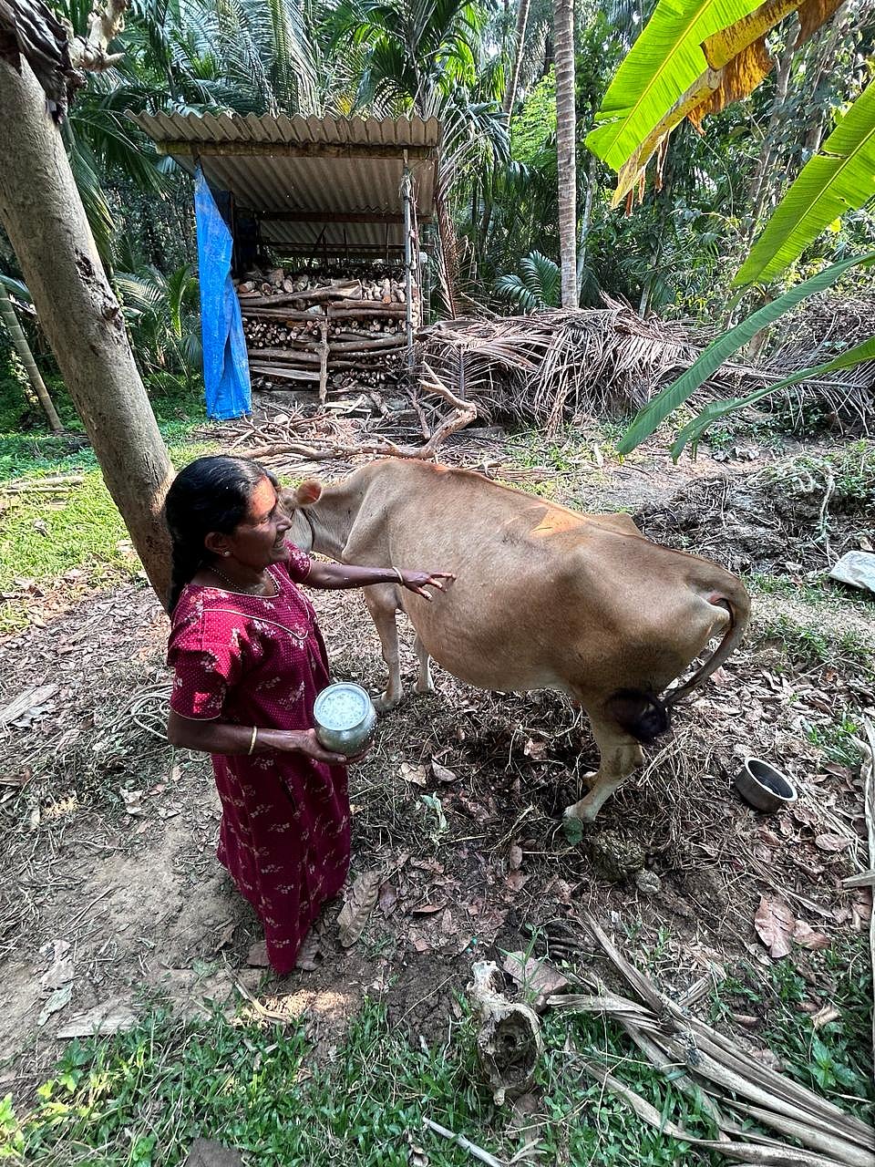 A new livelihood, a fresh start