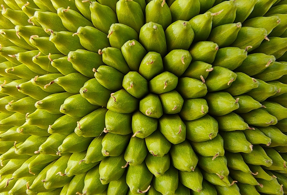 Motorola Edge 50 Pro review: Reliable phone with feature-rich camera