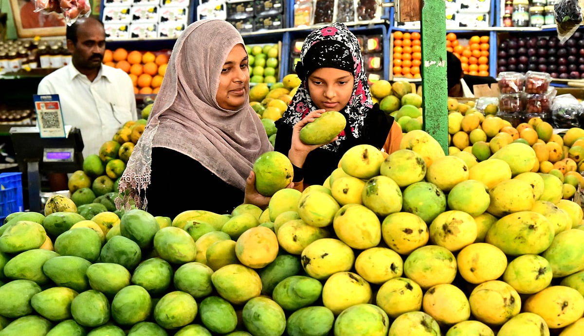 Karnataka news: Summer palaces for the King of fruits