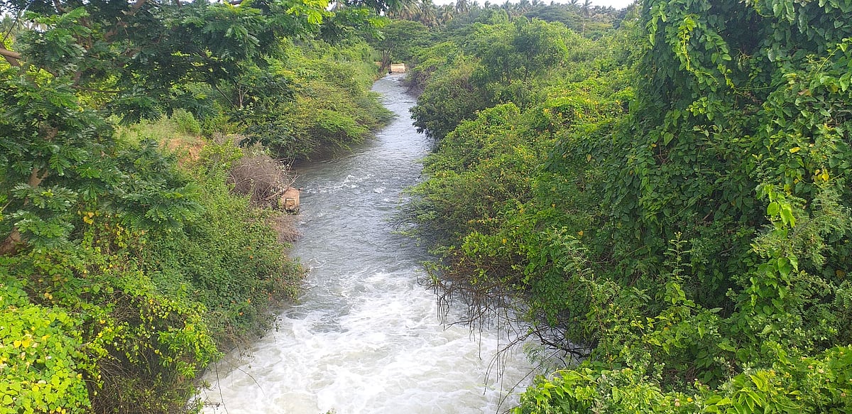 The king of Vijayanagara canals: A gift from the past