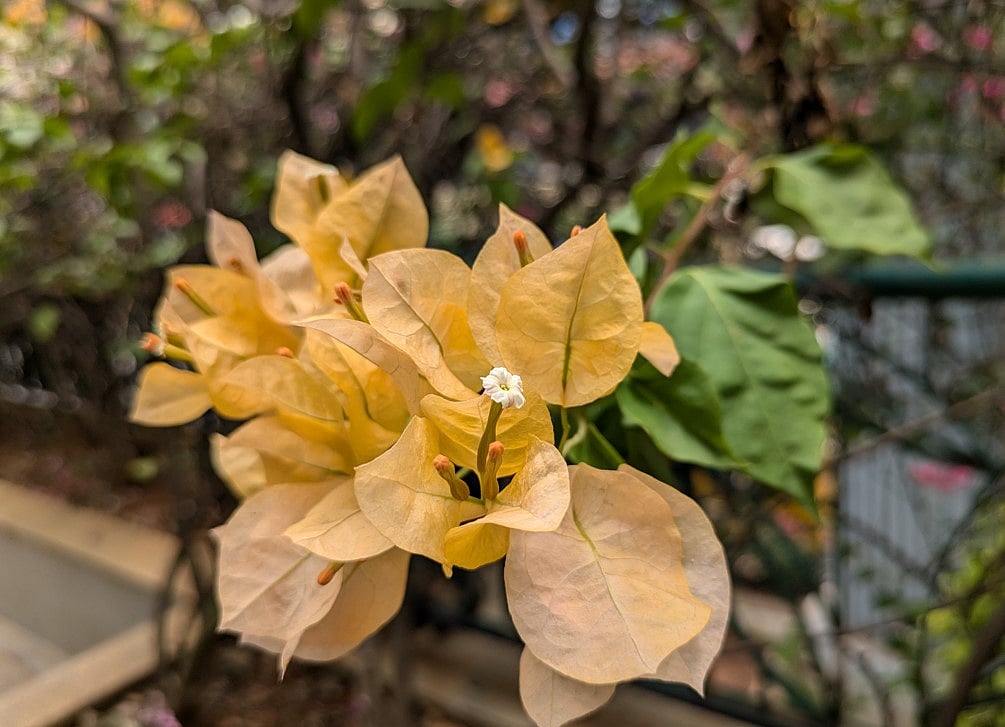 Google Pixel 8a: First impression